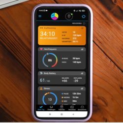 Garmin Connect App – eine ausführliche Vorstellung – Smartwachtes ...
